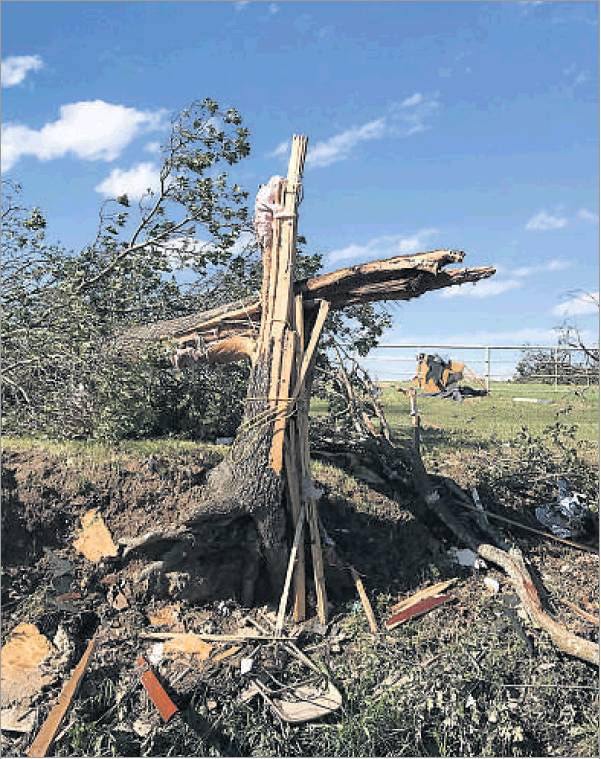 Cross-made-from-storm-debri - Steve Blaising