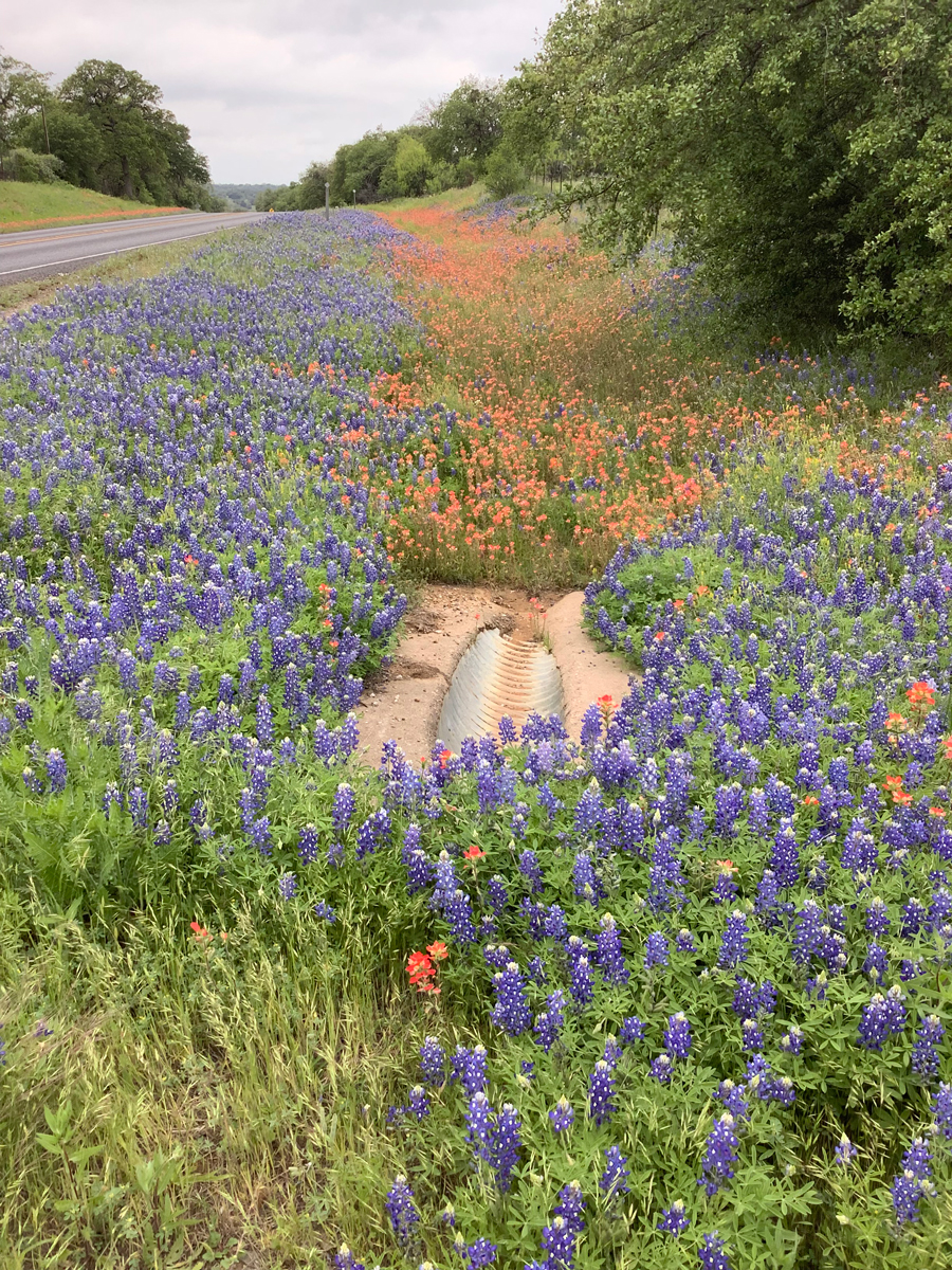 How to Transform Your Rut into a Runway - Steve Blaising